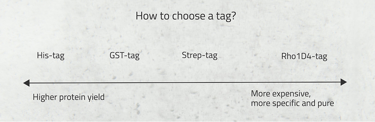 [Cube Biotech 한국독점대리점] MagBeads - The metal way of protein purification ...